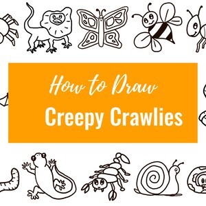 Creepy Crawlies - 12 Printable How to Draw Pages - Animals - Printable ...