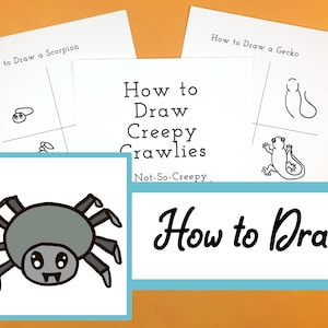 Creepy Crawlies - 12 Printable How to Draw Pages - Animals - Printable ...