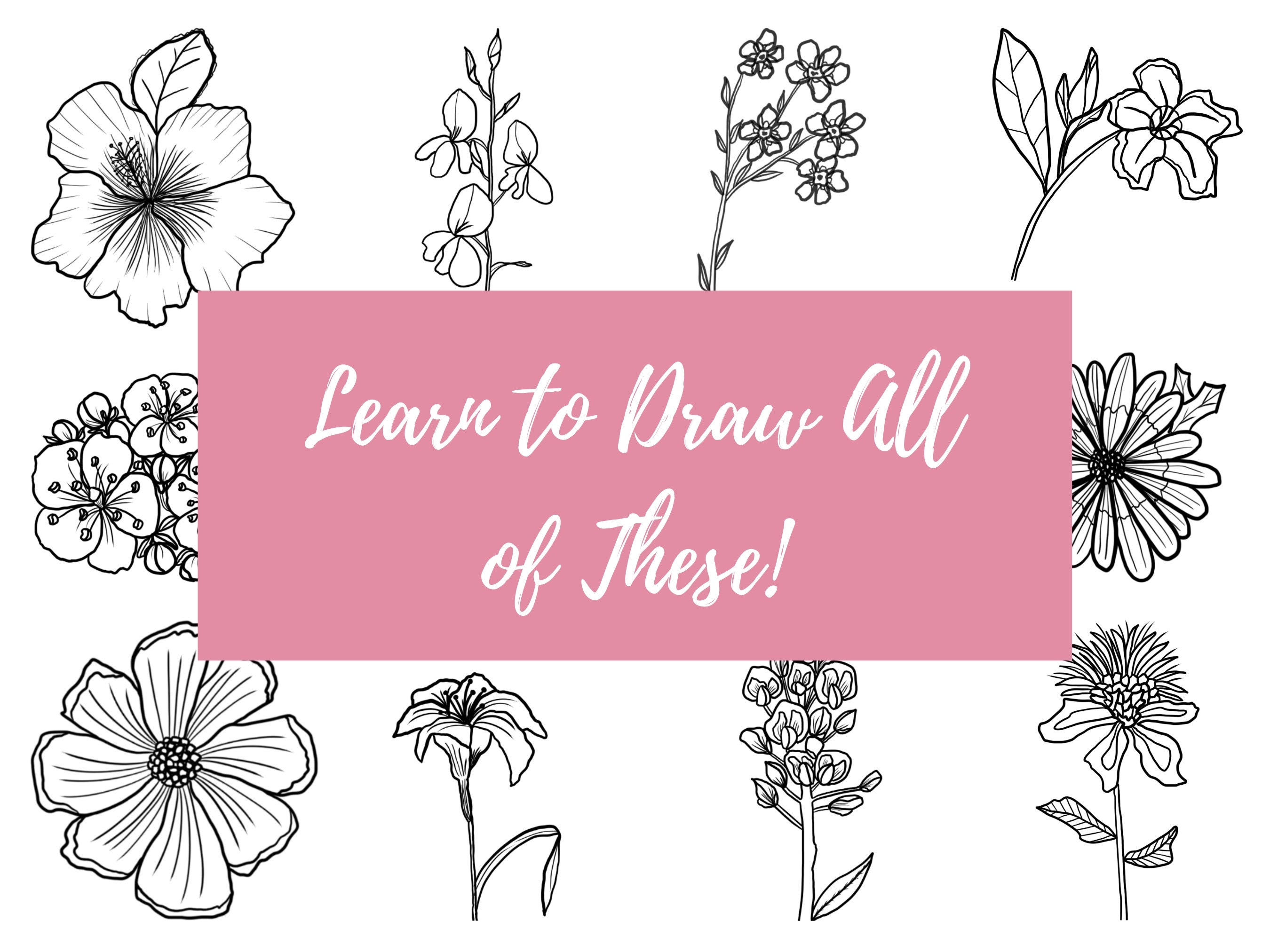 Volume 1: How to Draw Flowers, Printable Worksheets, Bullet Journal ...