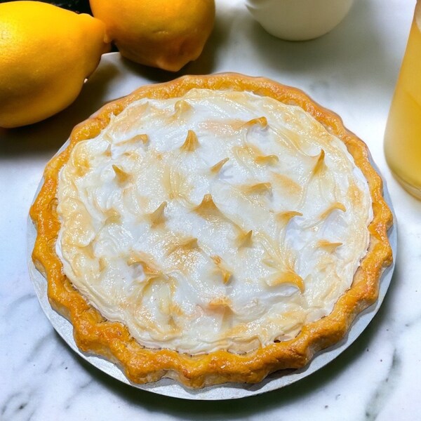 Fake Pie Prop - Etsy