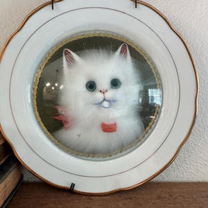 Vintage Kitch Kitchy Domed Persian Kitten\ KITTY Cat Plate Bubble Glass ...