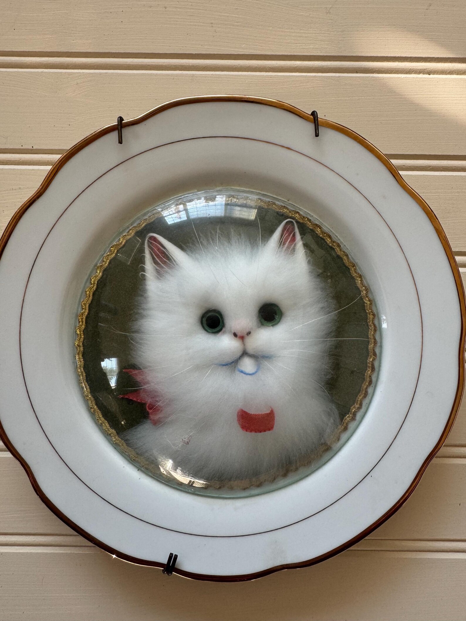 Vintage Kitch Kitchy Domed Persian Kitten\ KITTY Cat Plate Bubble Glass ...
