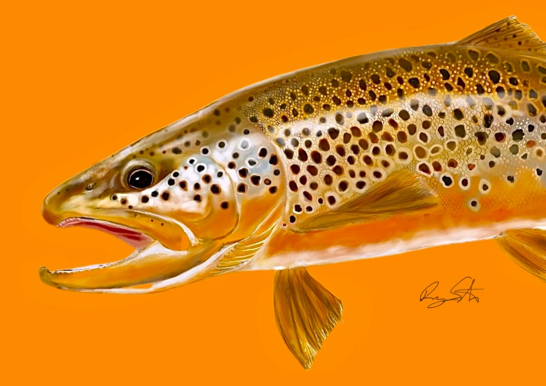 Brown Trout - Etsy