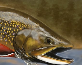 Brook Trout - Side View Freshwater Gamefish Giclee Paper & Aluminum ...