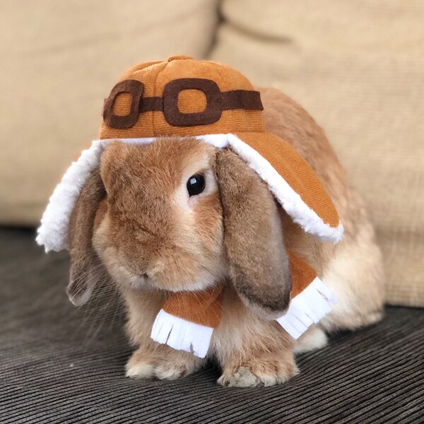 Aviator Cat Hat - Etsy