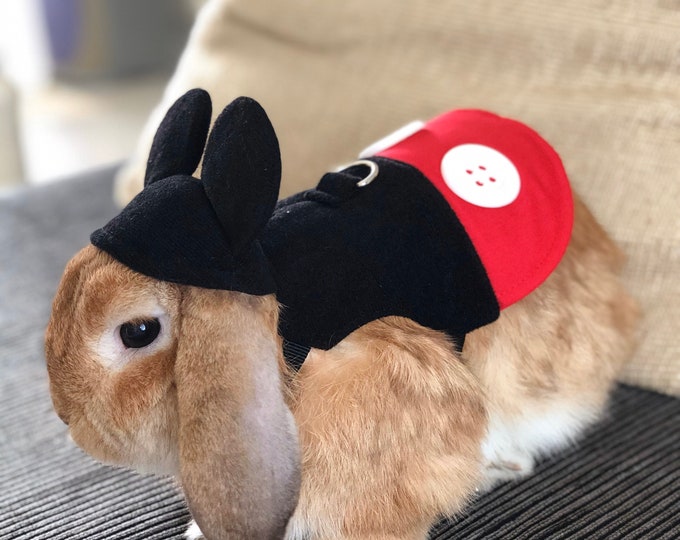 Cute Mouse Costume With Hoodie for Full Grown Lop-eared - Etsy