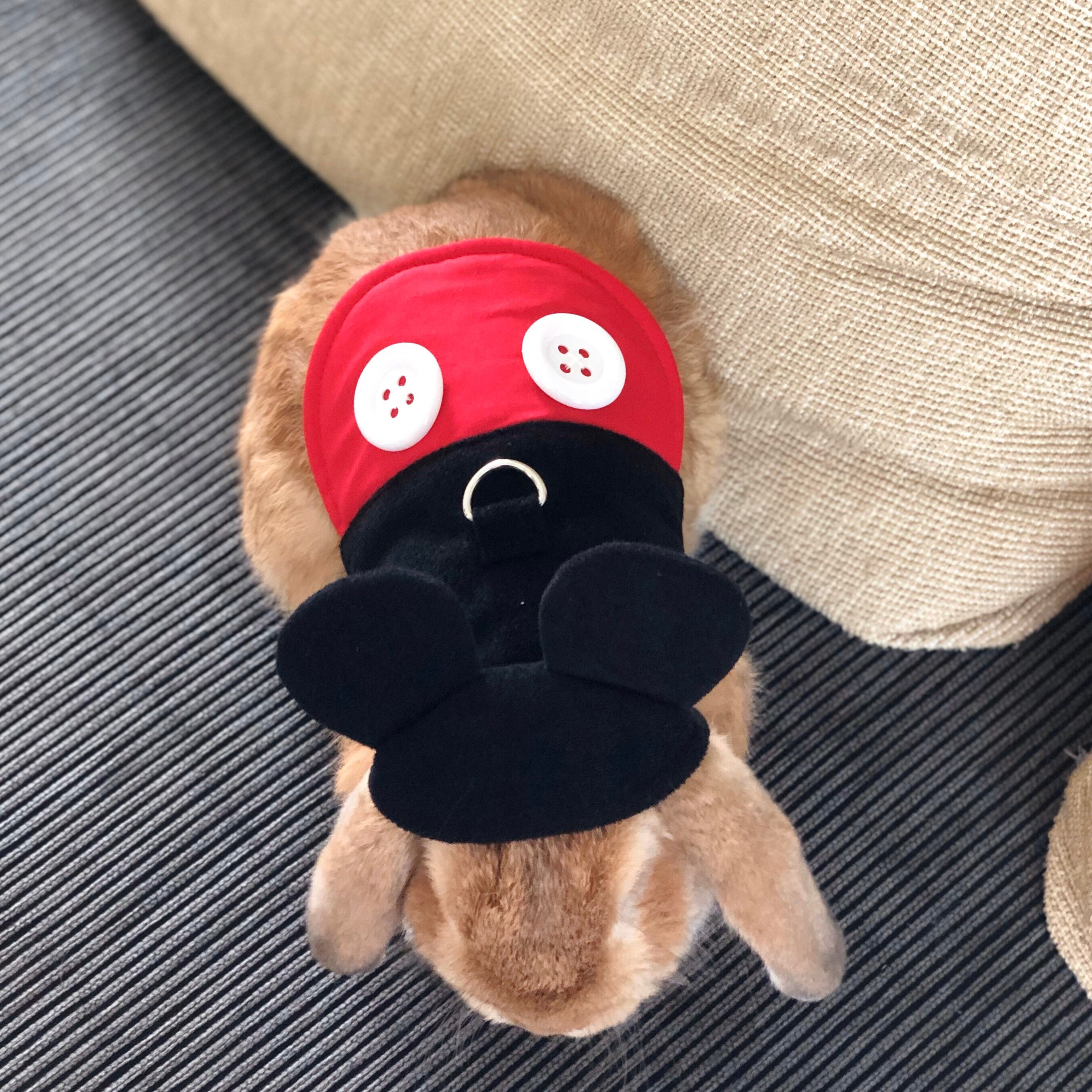 Cute Mouse Costume With Hoodie for Full Grown Lop-eared | Etsy