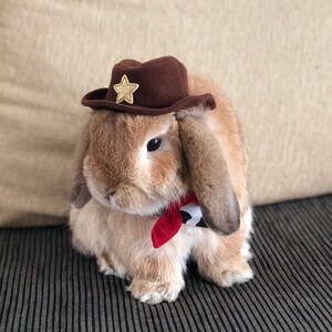 Cowboy Hat for Pet Bunny Rabbit and Other Small Pets - Etsy
