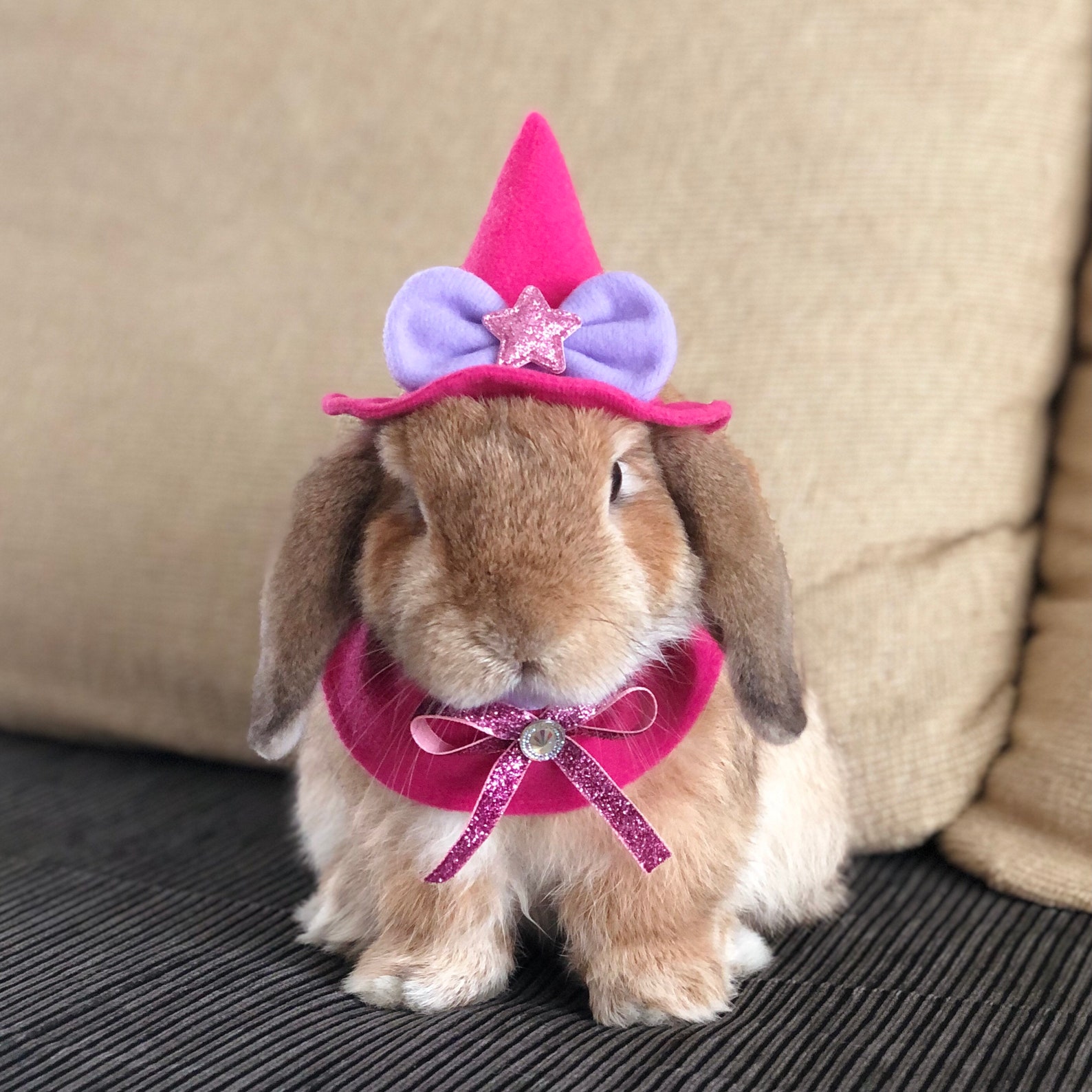 Sorcerer wizard witch Hat for pet bunny rabbit and other | Etsy