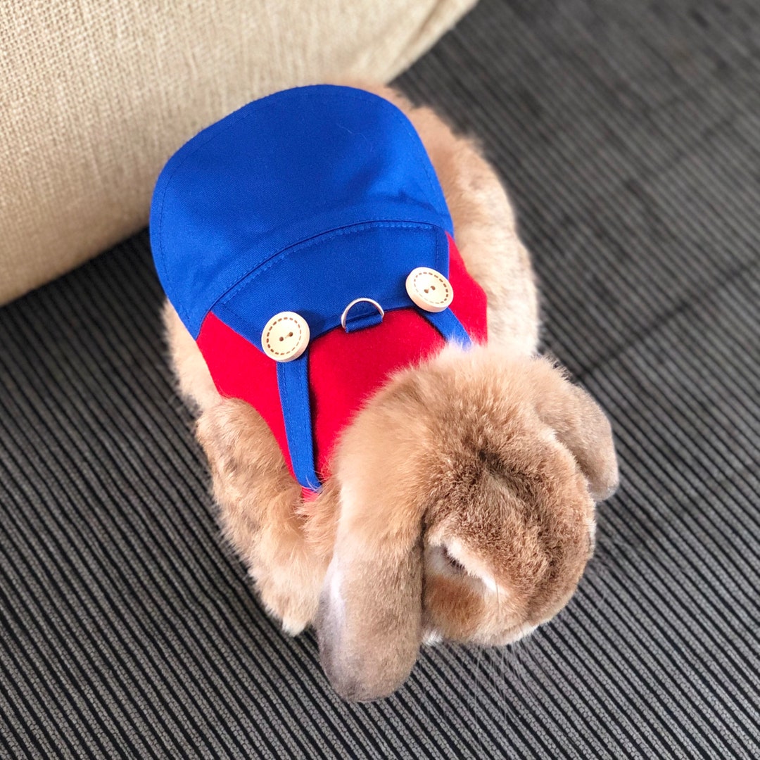 Super Mario, Luigi, Wario and Waluigi Inspired Costume for Pet Bunny ...
