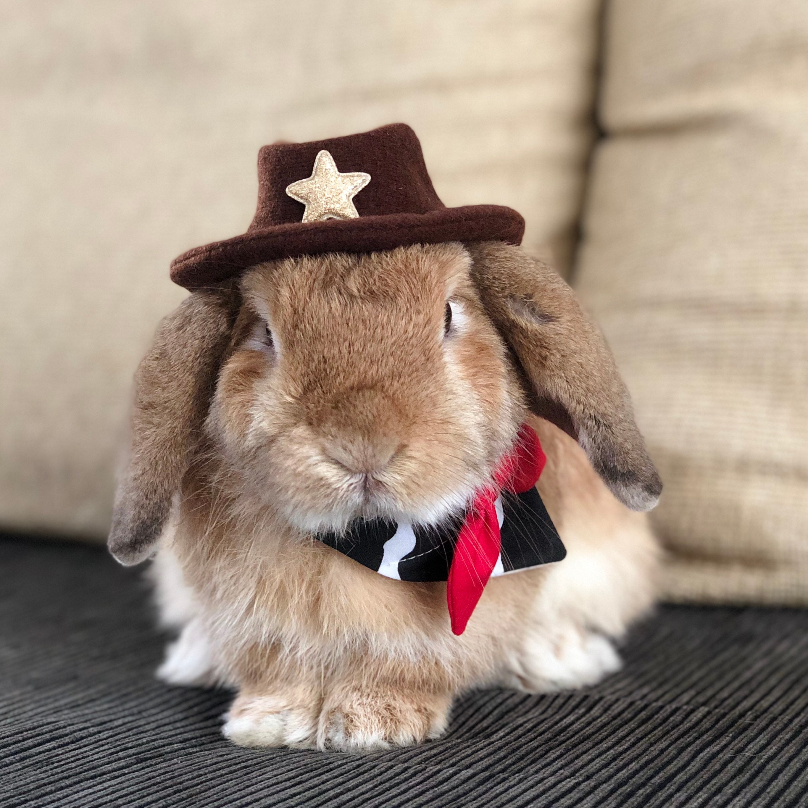 Cowboy Hat for pet bunny rabbit and other small pets | Etsy
