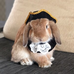Colonial Tricorn Pirate Hat for Pet Bunny Rabbit and Other Small Pets ...
