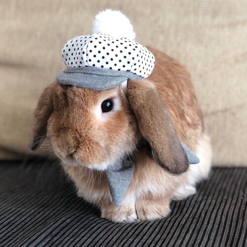 Red Ruffle Collar for Pet Bunny Rabbit and Other Small Pets - Etsy