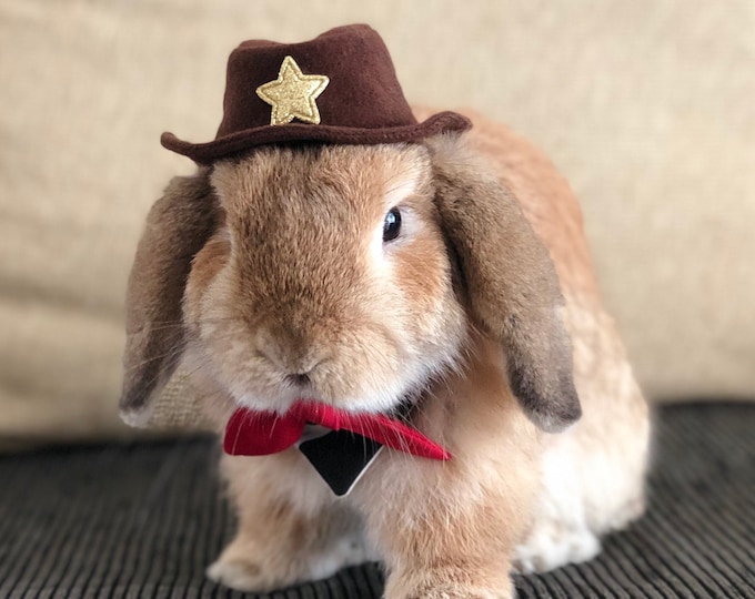 Cowboy Hat for Pet Bunny Rabbit and Other Small Pets - Etsy
