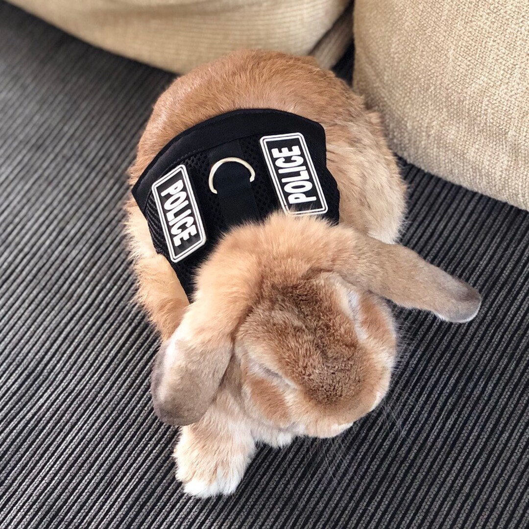 POLICE Vest Harness Leash for Bunny Rabbit - Etsy