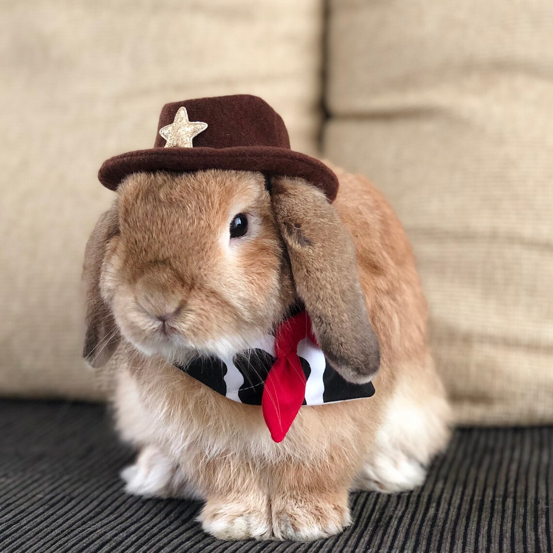Cowboy Hat for pet bunny rabbit and other small pets | Etsy