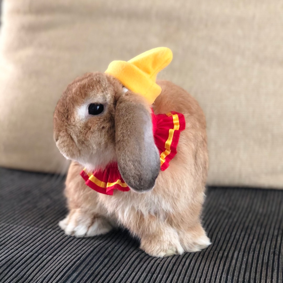 Red Ruffle Collar for Pet Bunny Rabbit and Other Small Pets - Etsy