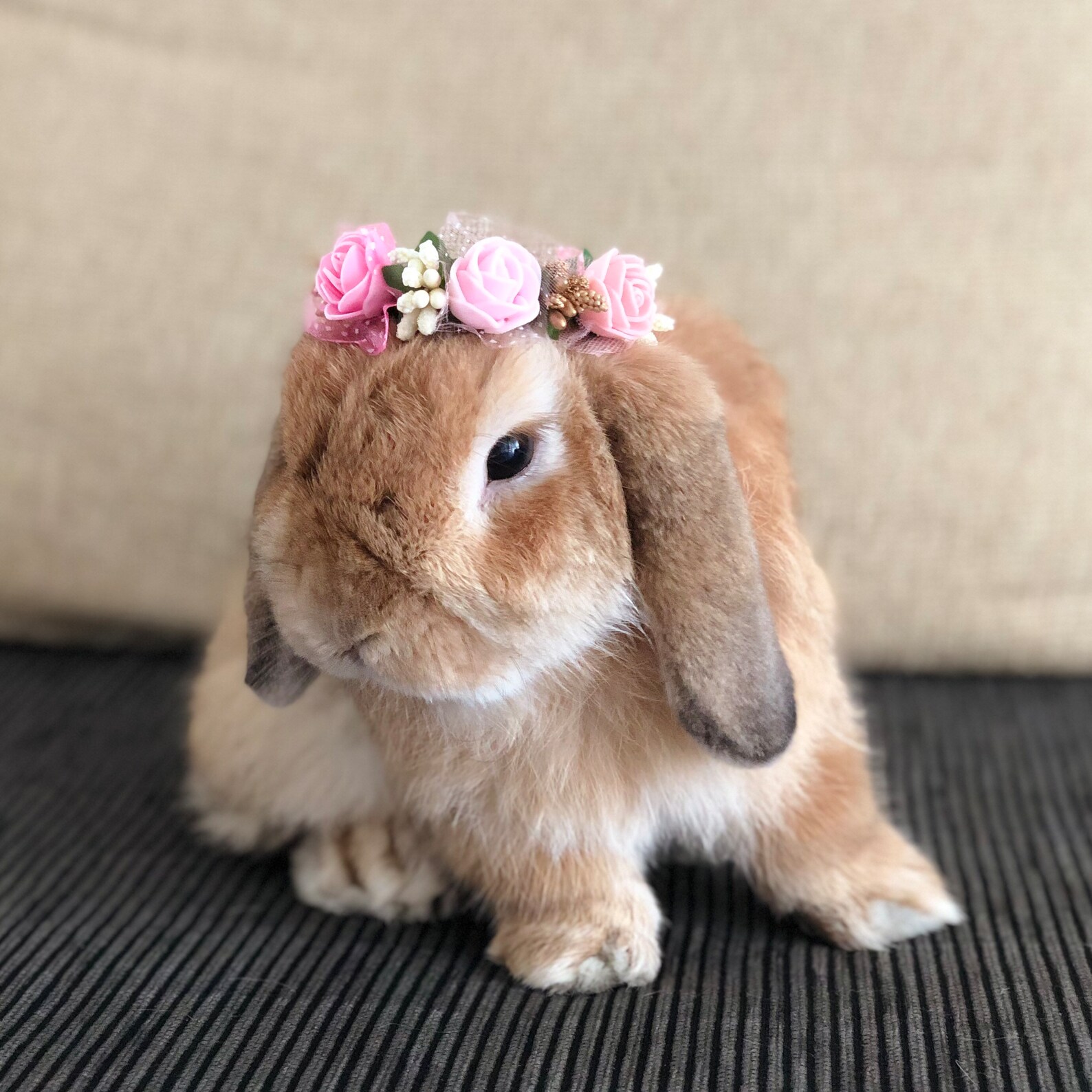 Flower Crown for Pet Bunny Rabbits - Etsy