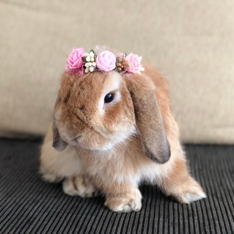 Flower Crown for Pet Bunny Rabbits - Etsy