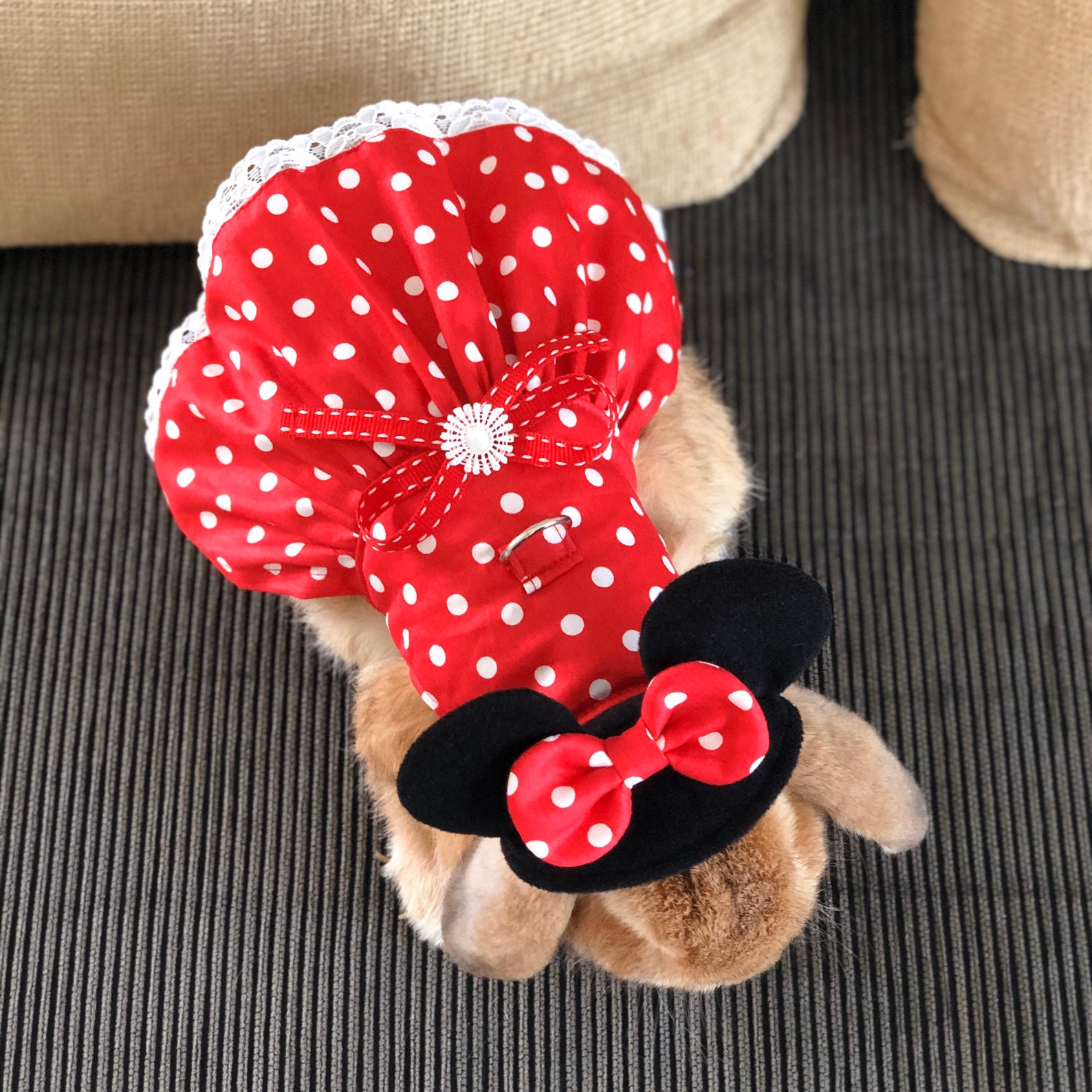 Cute Mouse Costume With Hoodie for Full Grown Lop-eared | Etsy