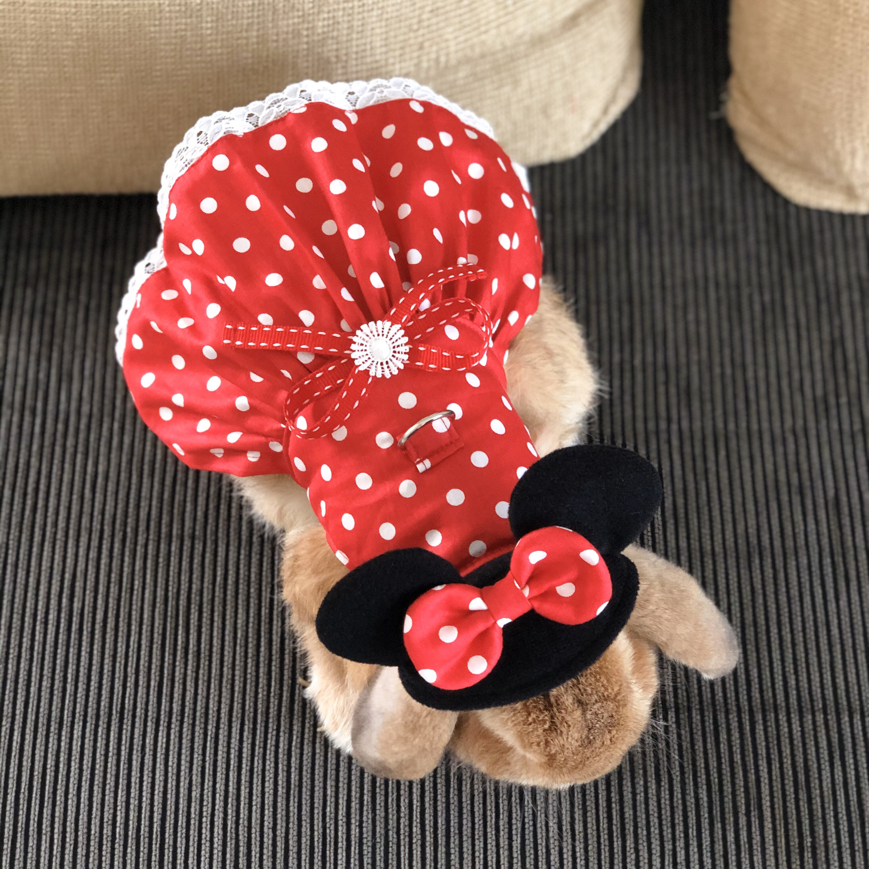 Cute Mouse Costume With Hoodie for Full Grown Lop-eared | Etsy