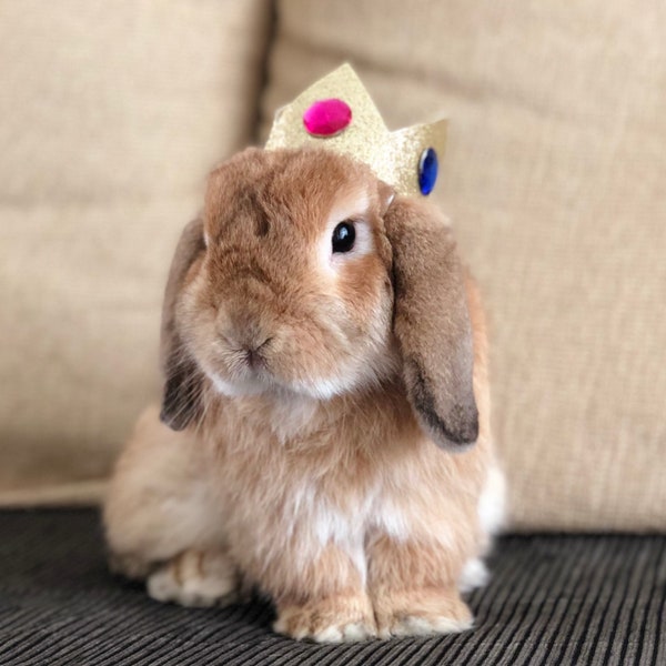 Buy Princess Daisy - Etsy