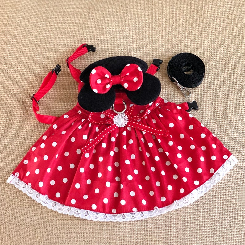 Cute Mouse Costume With Hoodie for Full Grown Lop-eared | Etsy