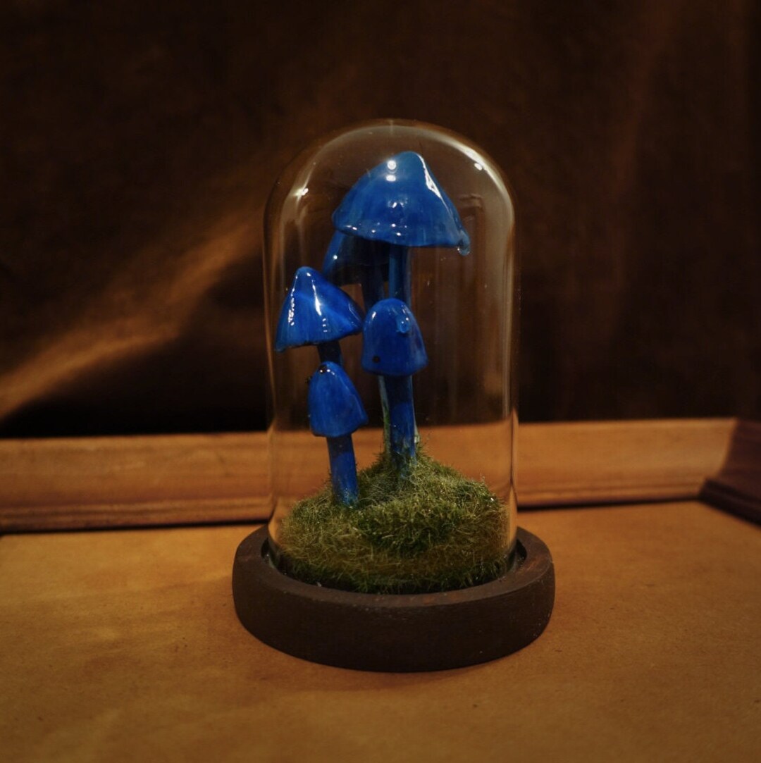 Handmade Clay New Zealand Blue Mushroom in a Glass Dome, Fungi ...