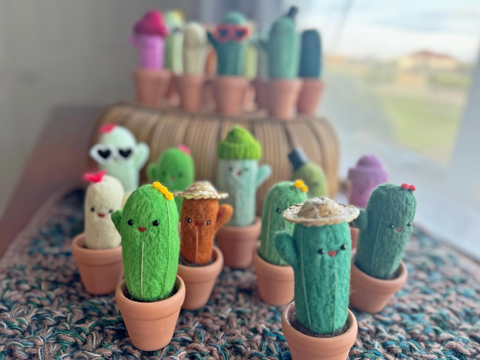 Needle Felted Cactus/succulent Planted in Terracotta Pot, Handmade Pure ...