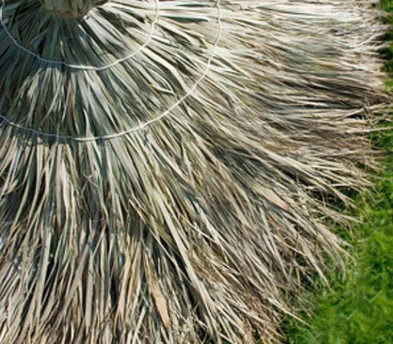 Tahitian Fuji Palm Thatch Round Top Cone Cap 3 Feet Dia Round - Etsy