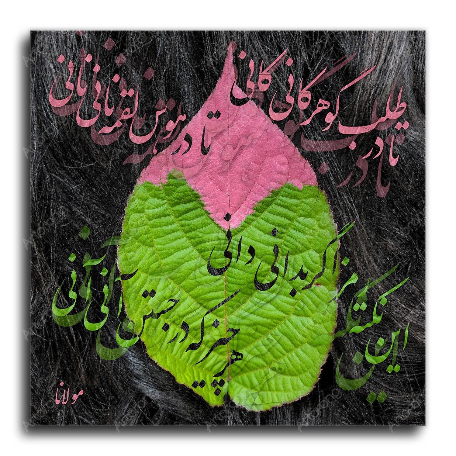 Molavi Poem Iran Art Persian Wall Art Canvas Art Persian - Etsy