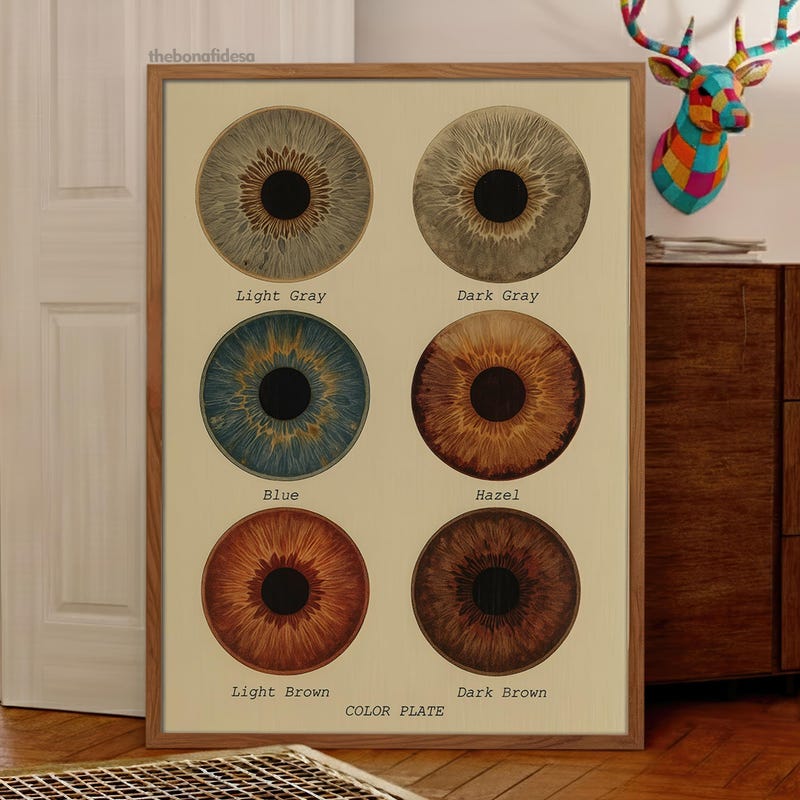 Eye Chart Print - Etsy
