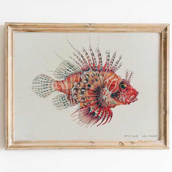 Antique Fish Print - Etsy