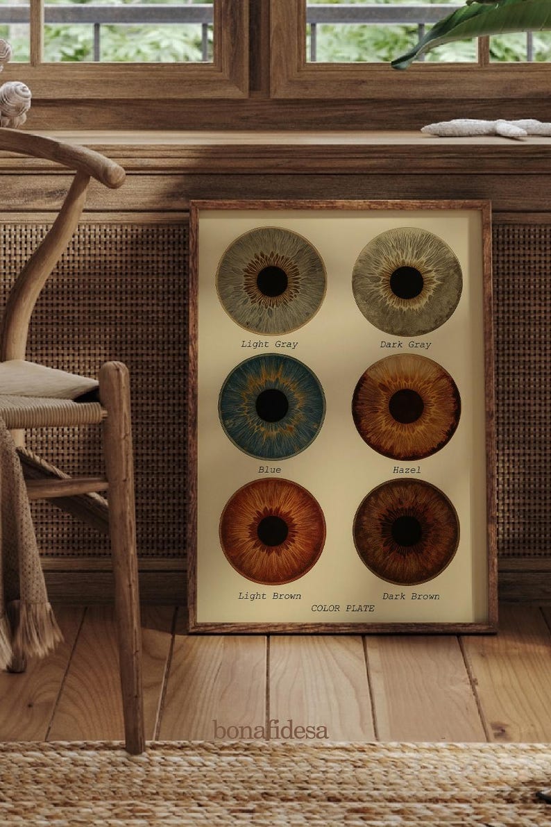 Vintage Eye Color Chart, Iris Anatomy Art Print (digital Download) - Etsy