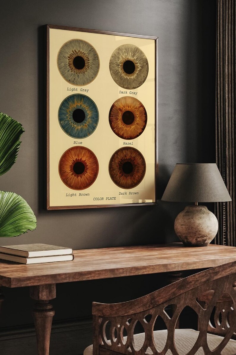 Vintage Eye Color Chart, Iris Anatomy Art Print (digital Download) - Etsy