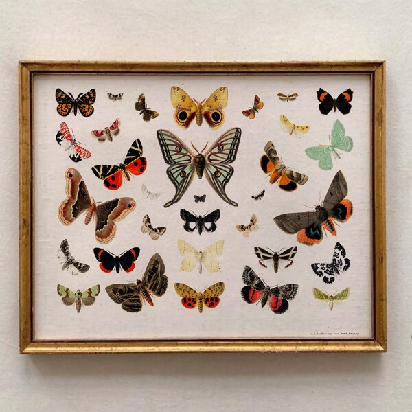 Butterfly Victorian - Etsy