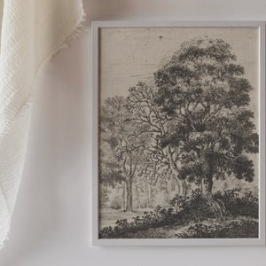 Tree Vintage Sketch,charcoal Drawing,printable Wall Art,digital ...