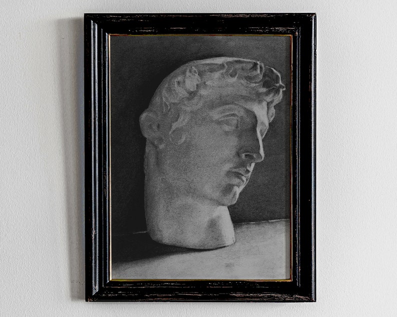 Dark Academia Decor Statue Wall Art Marble Bust Drawing | Etsy