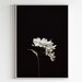Flower Poster Printable Wall Art Prints Black and White - Etsy
