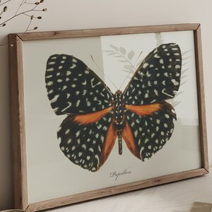 Vintage Butterfly Print, Papillon Print, Butterfly Poster, Butterfly ...