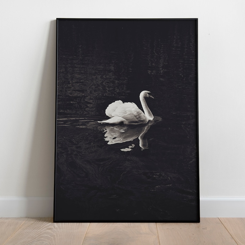Swan Print - Etsy