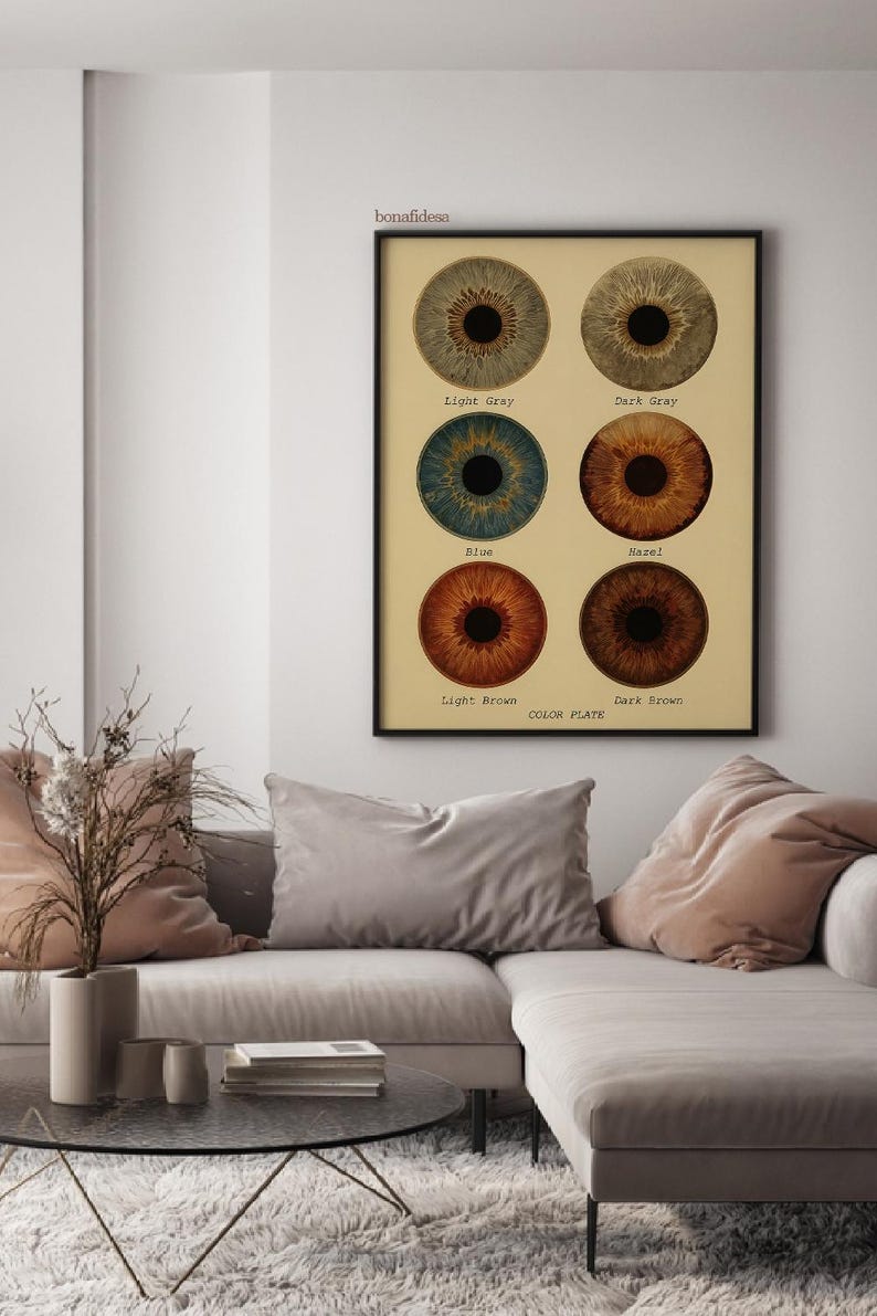 Vintage Eye Color Chart, Iris Anatomy Art Print (digital Download) - Etsy