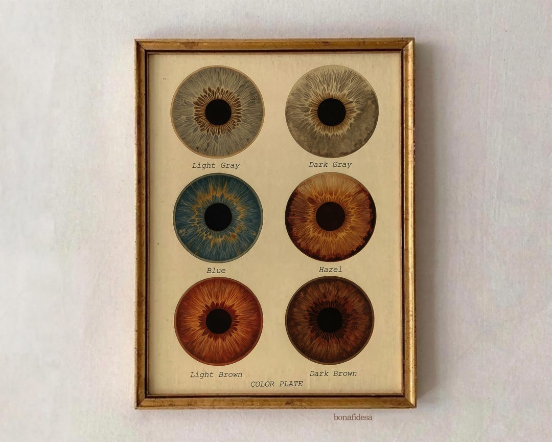Vintage Eye Color Chart, Printable Iris Illustration, Scientific ...