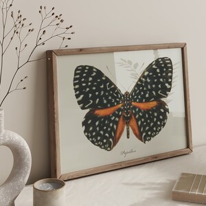Vintage Butterfly Print Papillon Print Butterfly Poster | Etsy