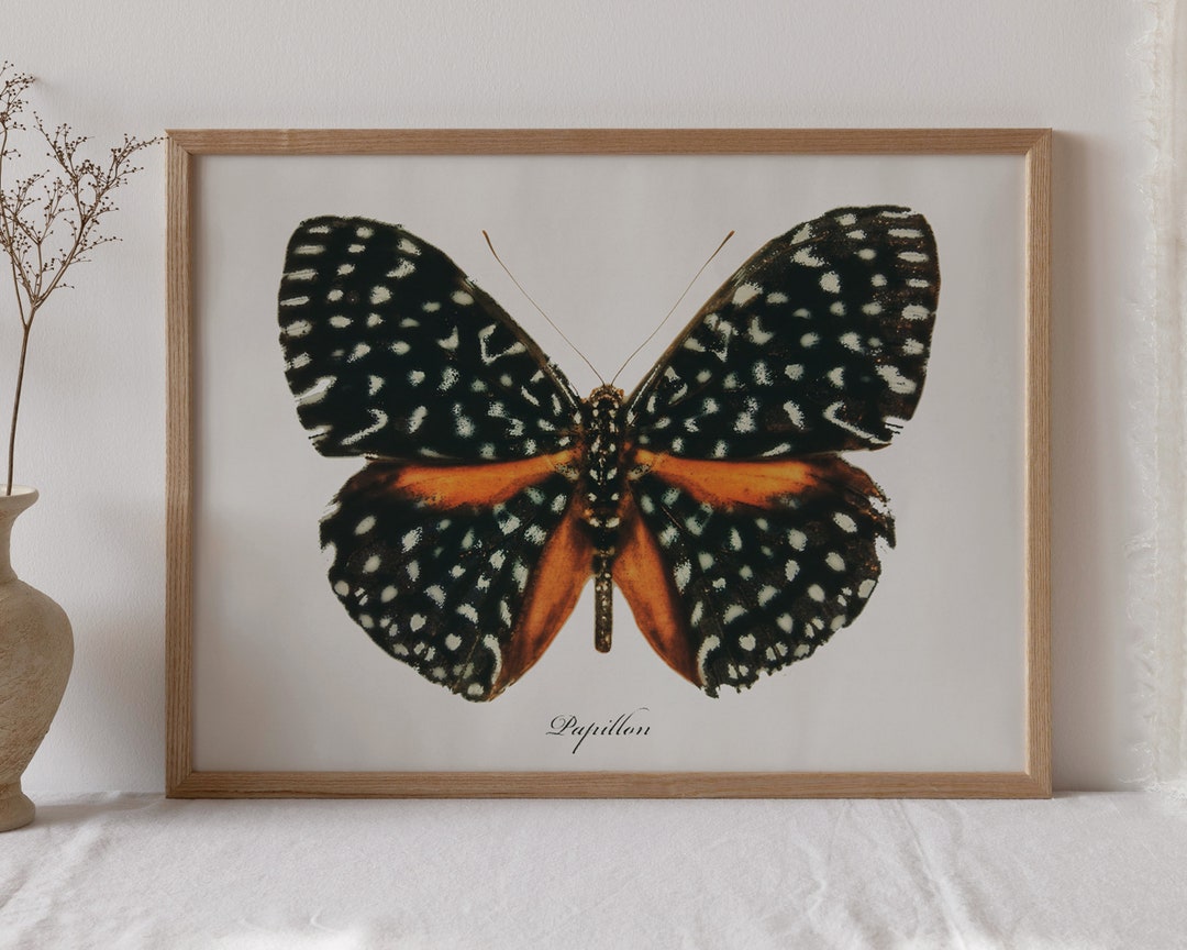 Vintage Butterfly Print, Papillon Print, Butterfly Poster, Butterfly ...