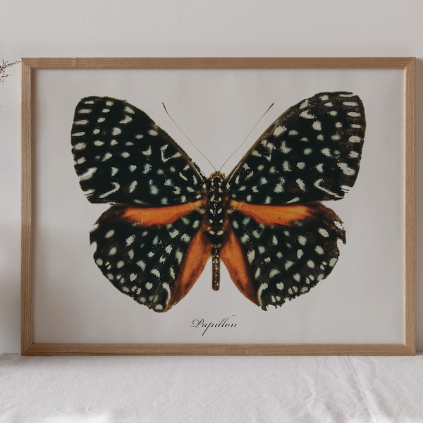 Butterfly Poster - Etsy
