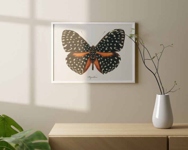 Vintage Butterfly Print Papillon Print Butterfly Poster | Etsy