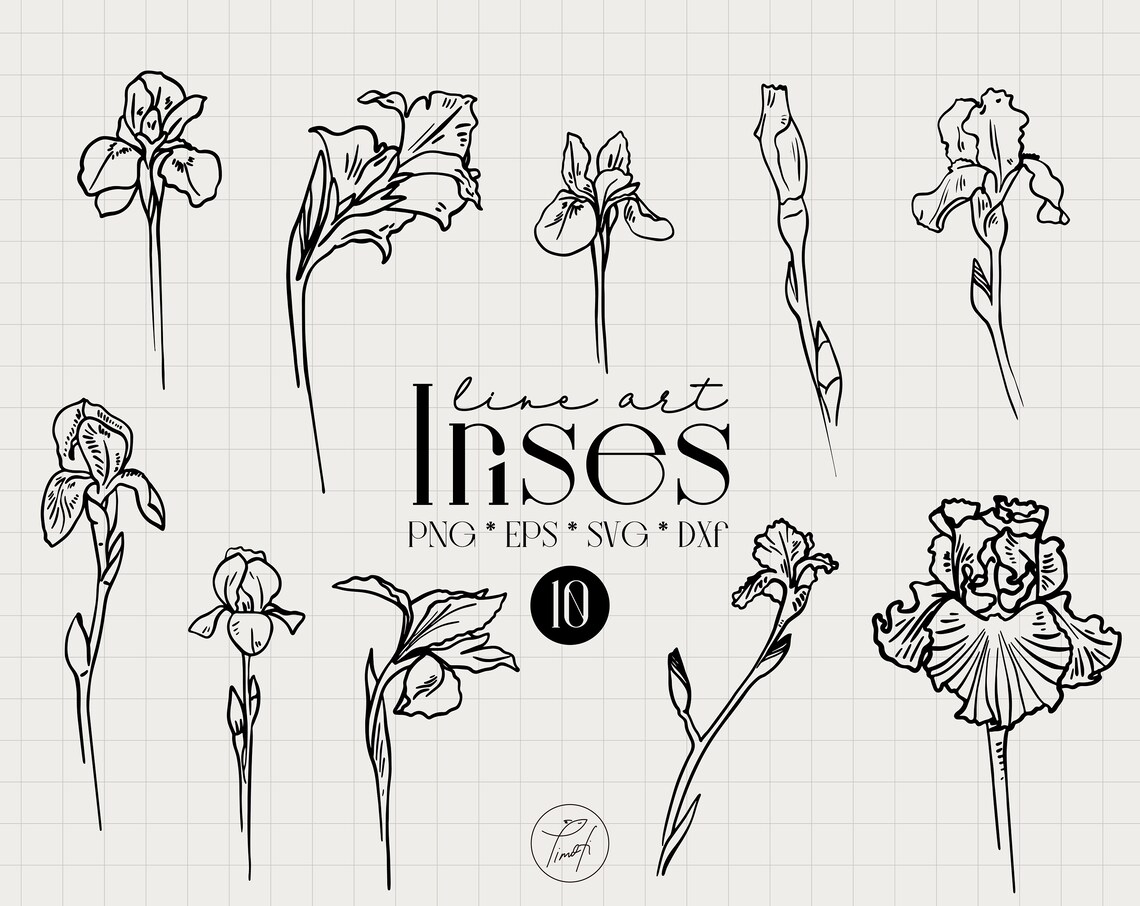 Spring Flowers Svg BUNDLE One Line Drawing Roses Svg | Etsy