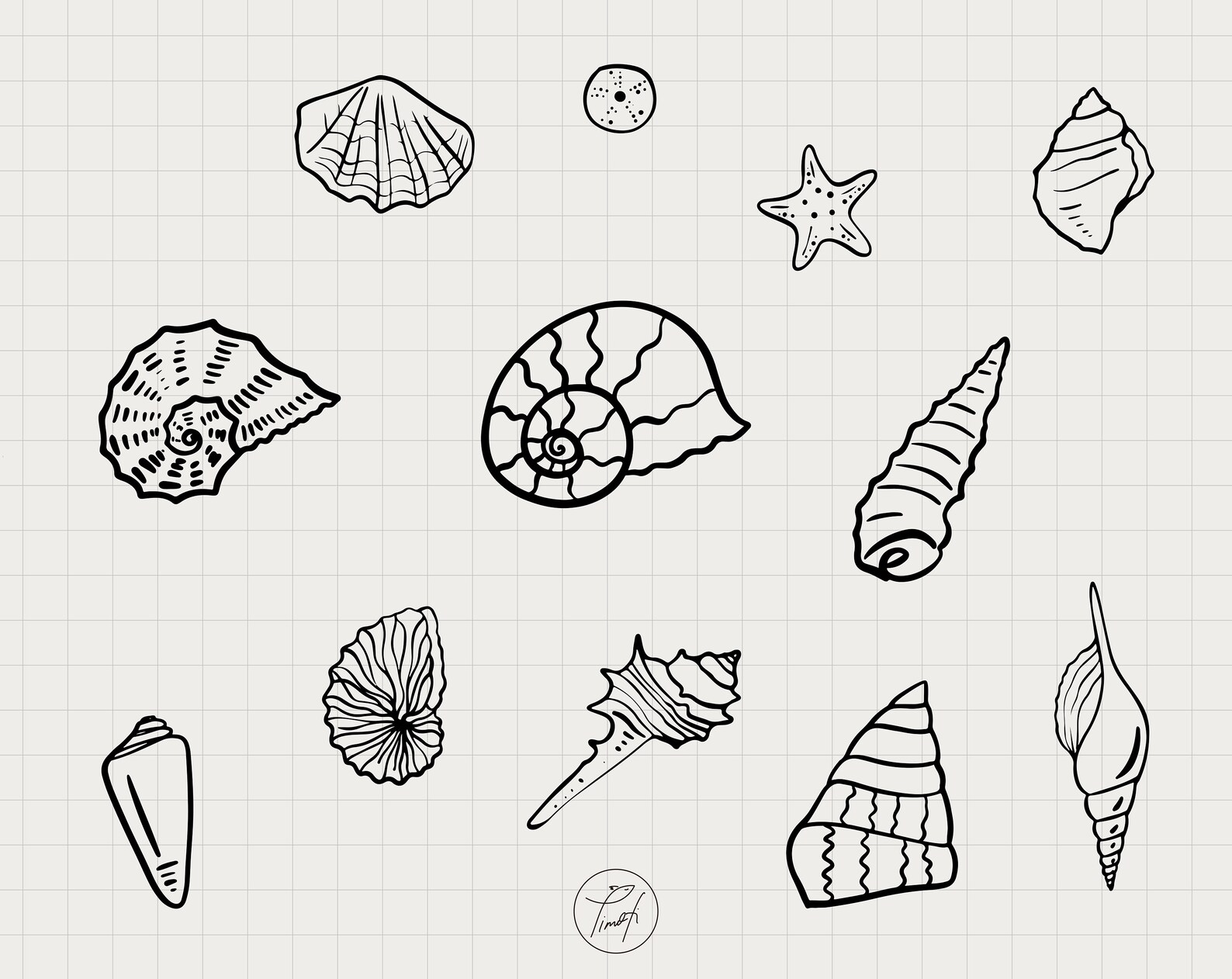 Seashell Svg, Ocean Svg, Sea Shell Svg One Line Drawing, Coral Svg ...