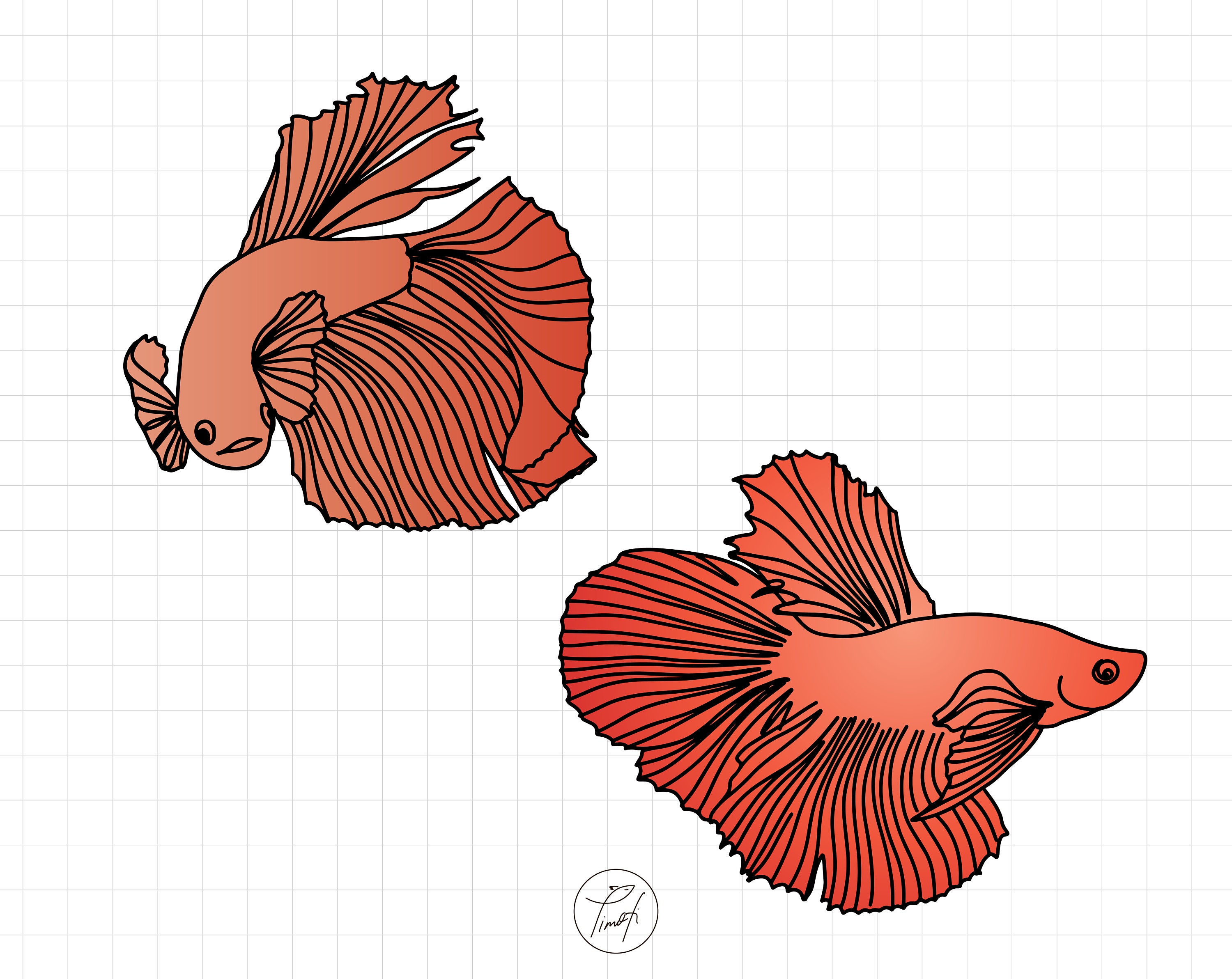 Fish Svg, Colorful Fishing Svg One Line Drawing, Commercial License Png ...